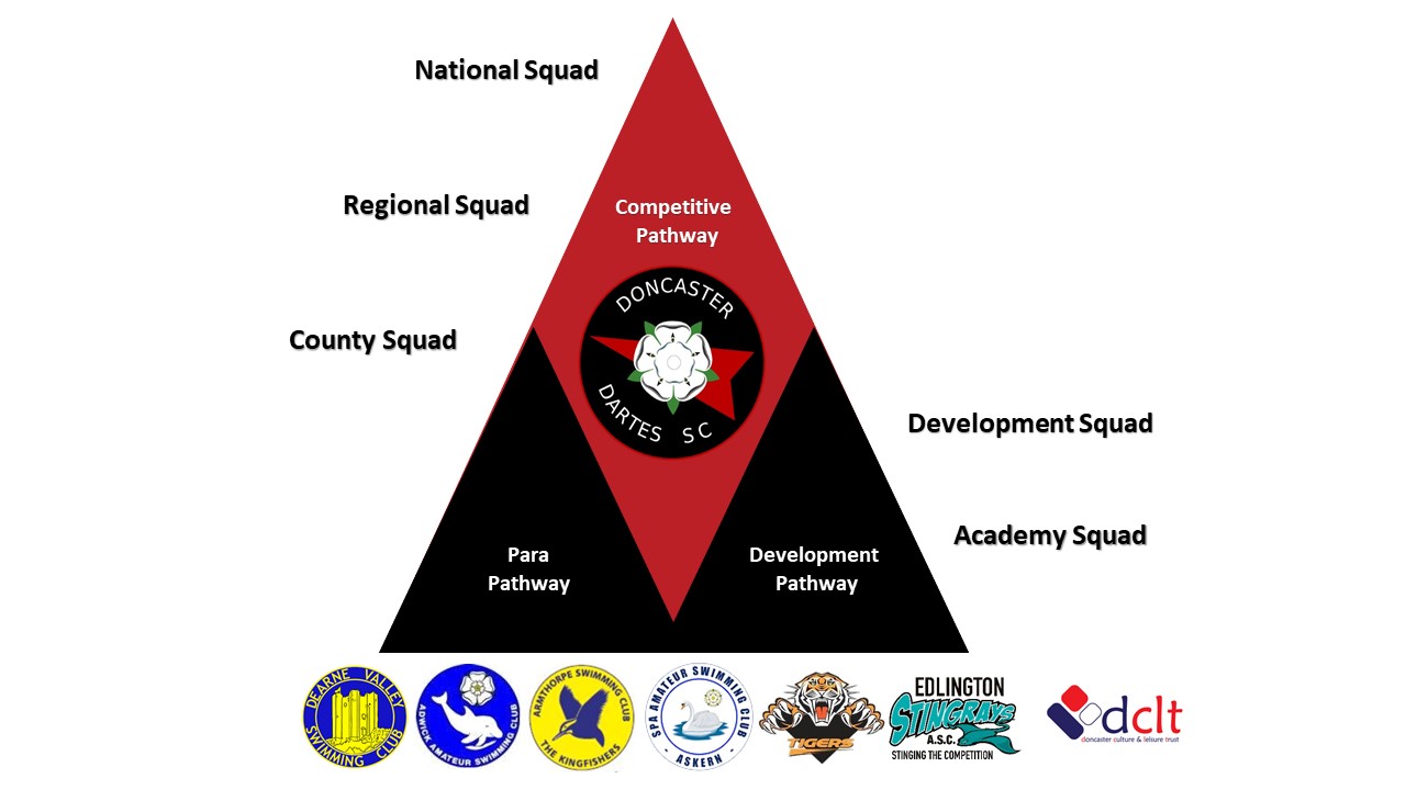 Doncaster Dartes - Structure & Pathway